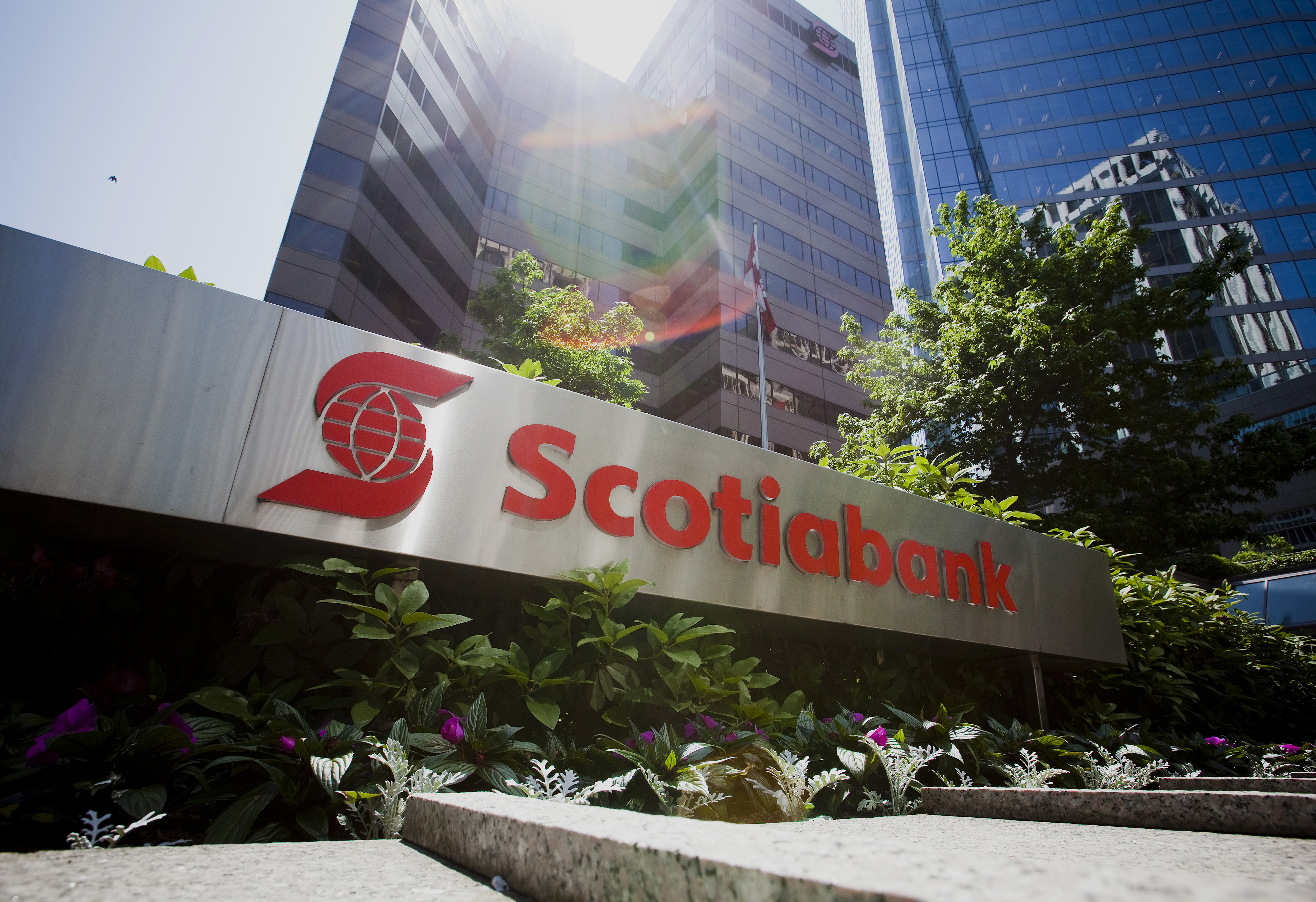 Scotiabank said to test smart contract, blockchain for trade reports ...