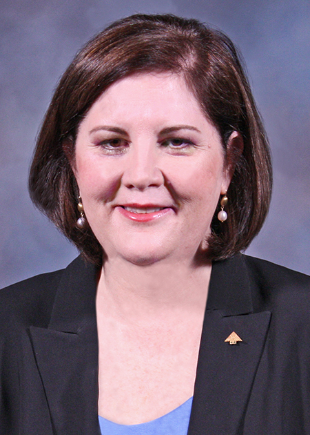 Regions Financial creates watchdog for corporate governance | American ...