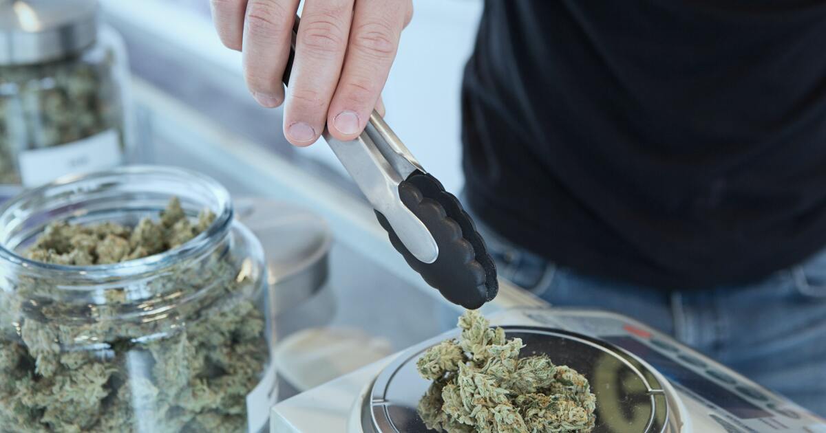 Should Employers Drug Testing For Marijuana Employee Benefit News should-employers-drug-testing-for-marijuana-employee-benefit-news