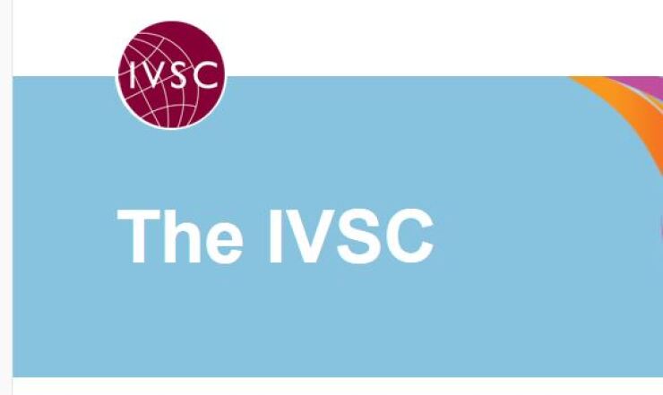 IVSC plans future agenda for valuation standards | Accounting Today