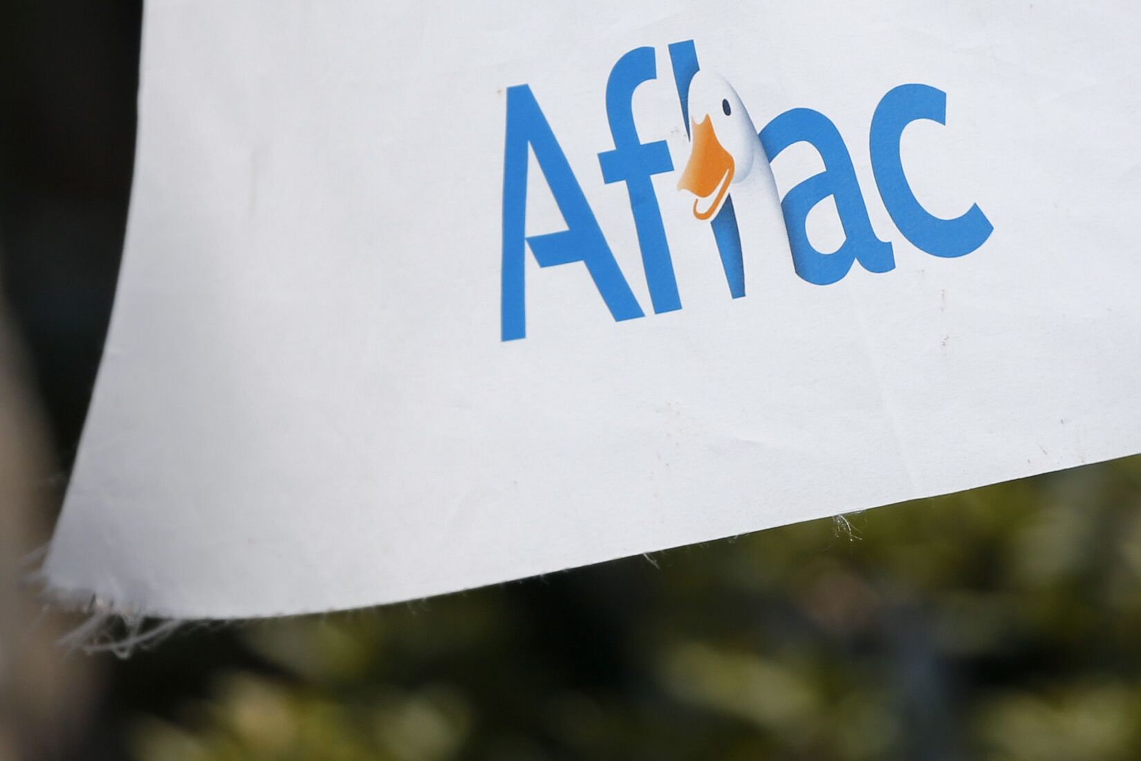 Aflac deploys bionics concept for digital transformation | Digital ...